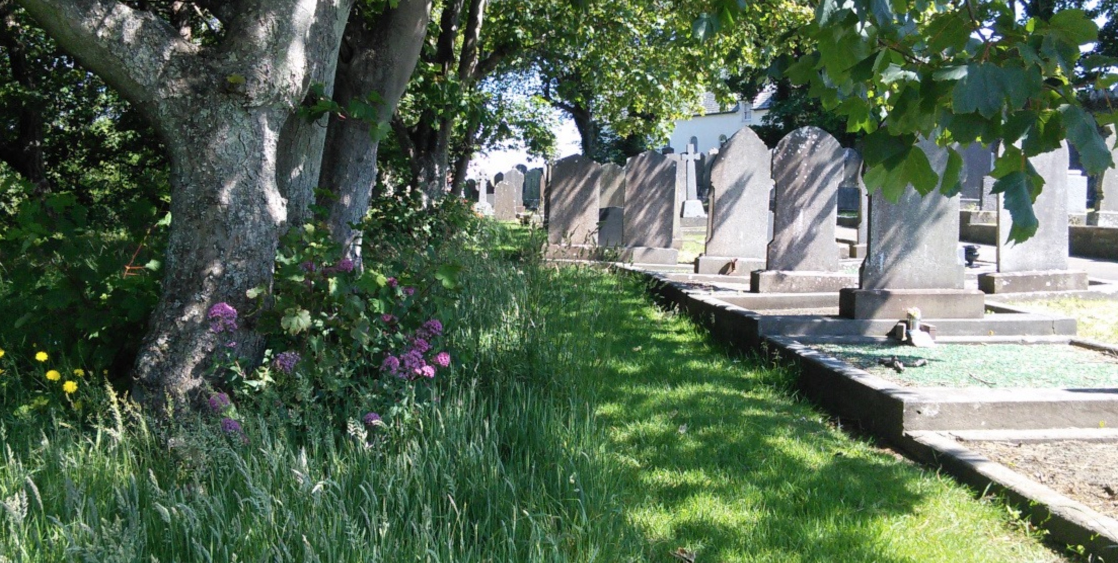 Burial Ground | Rushen Parish